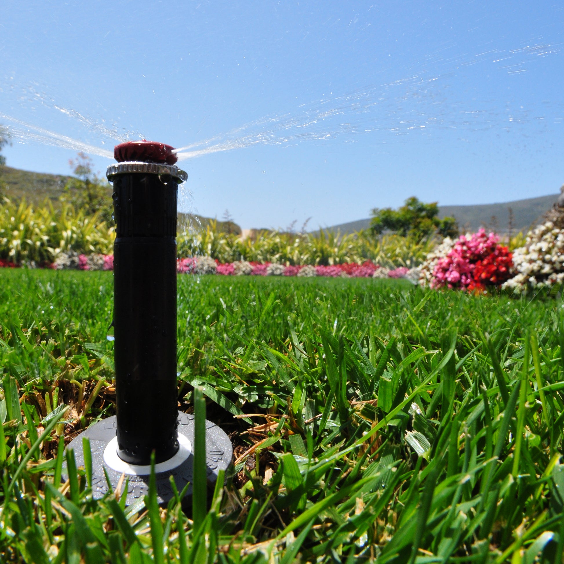 PROS-04-PRS40-CV - 4" Pop-up Pro Spray Professional Grade Sprinkler He ...